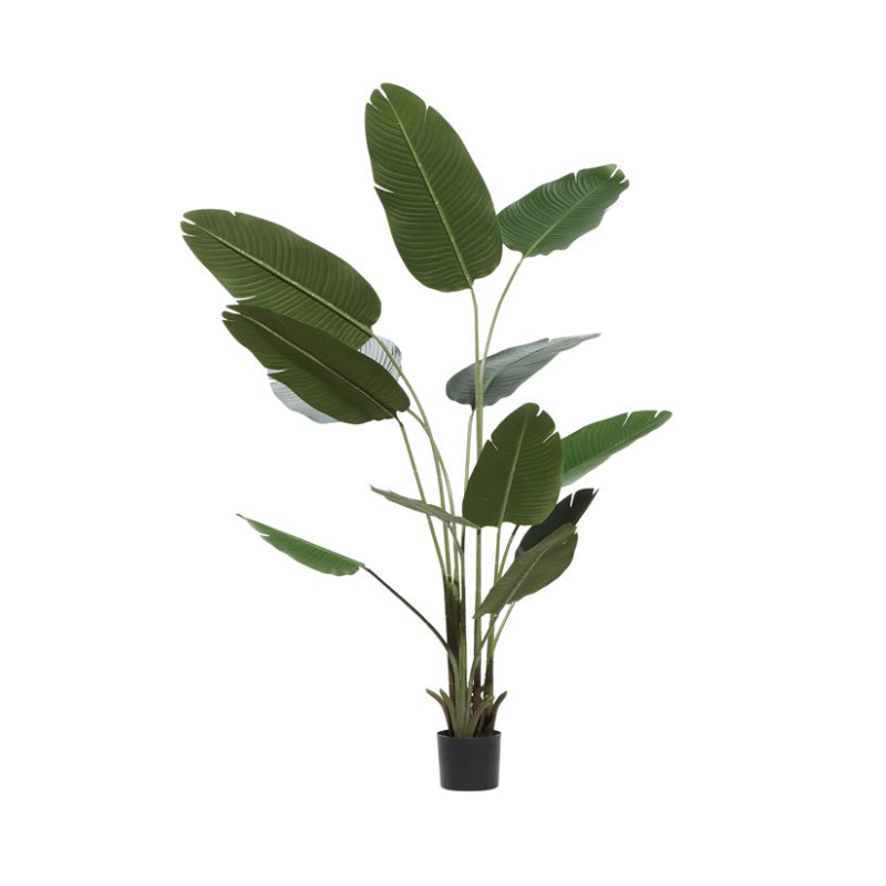 Artificial Strelitziaceae Tree